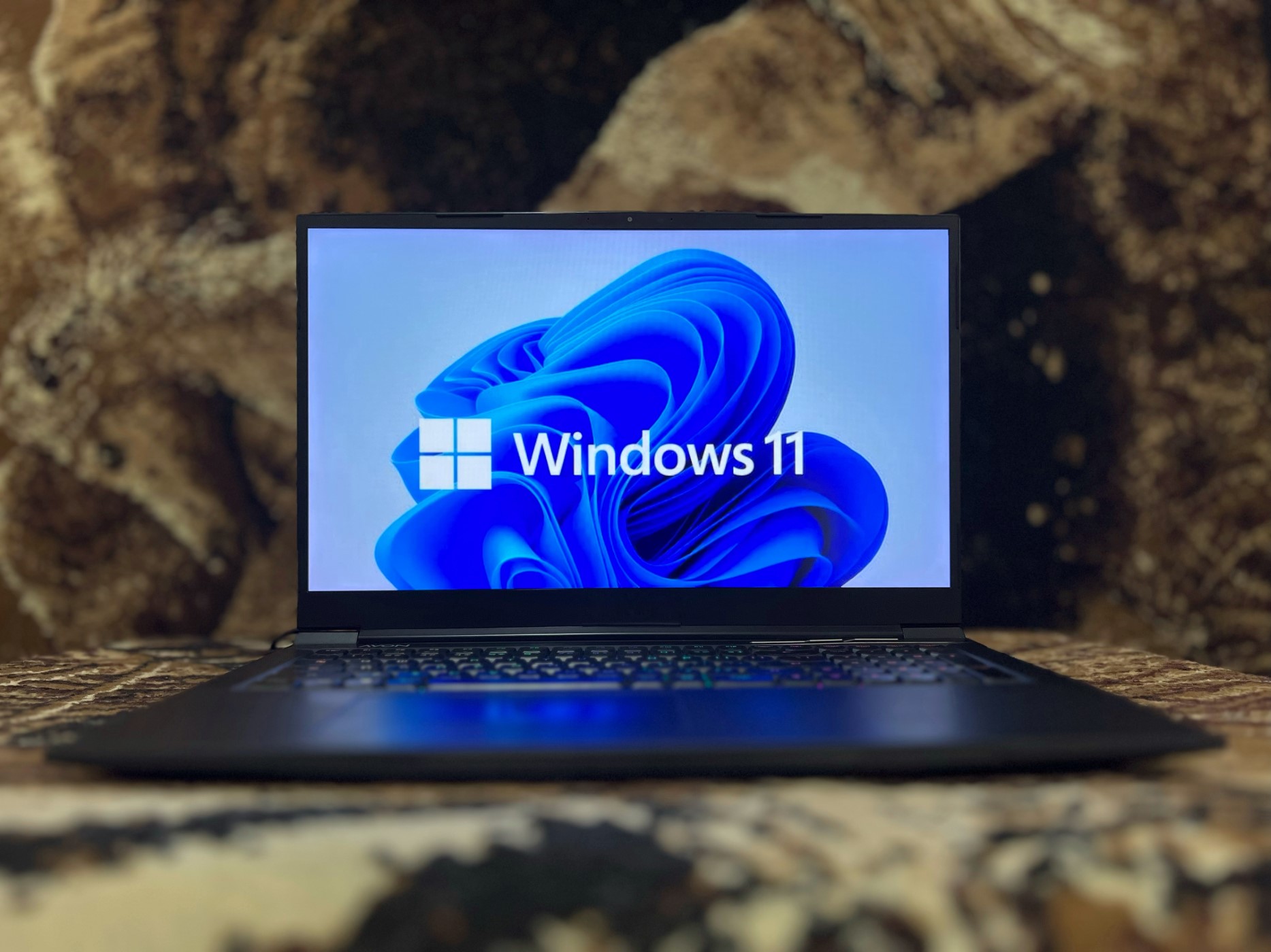 Windows 11 obtient un diagnostic automatique de la mémoire en cas de ...